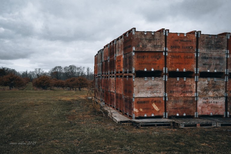 Flickr Friday – November 2025 – Adventures in every day life…